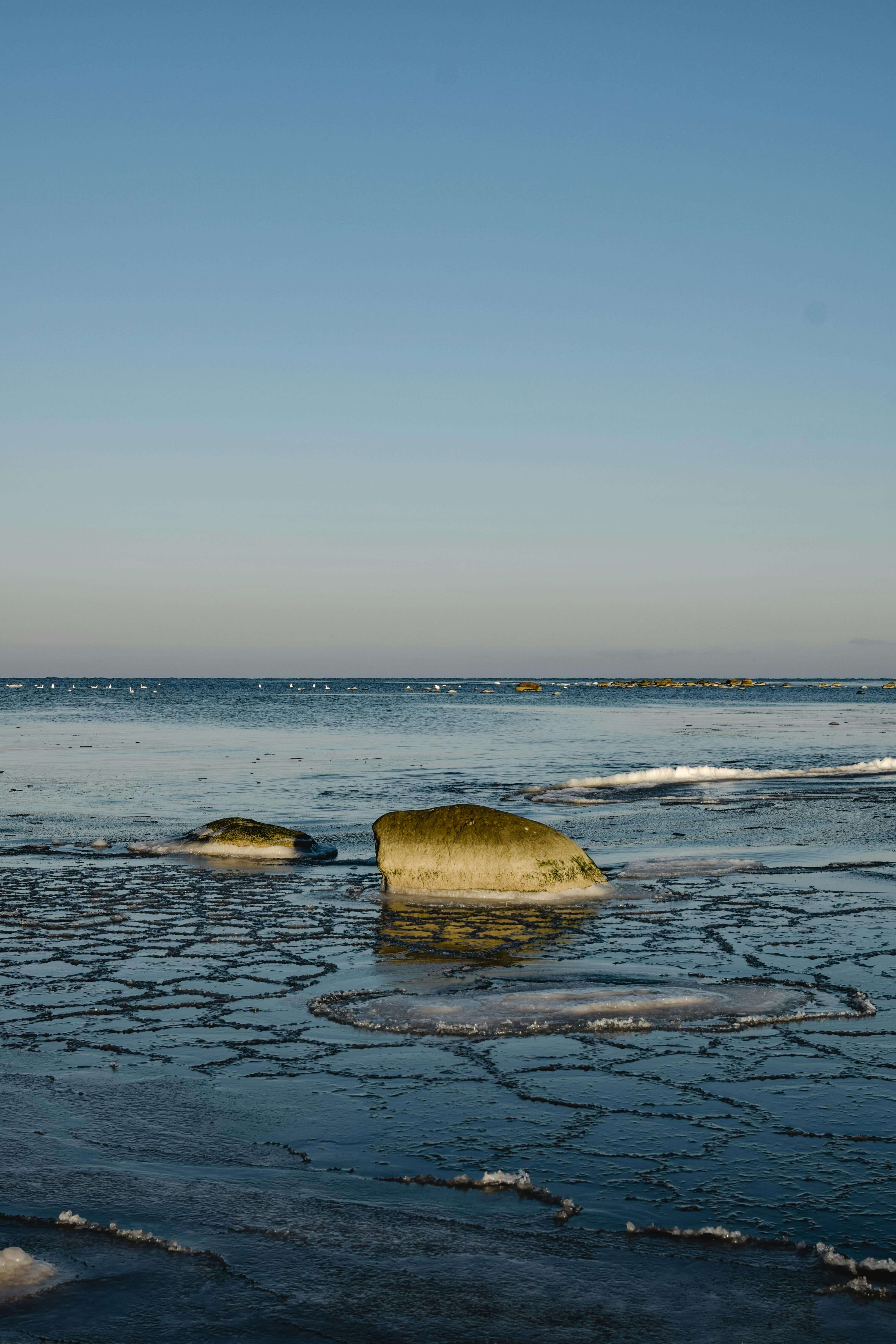 Cape Cod winter: Chatham Guide & Events