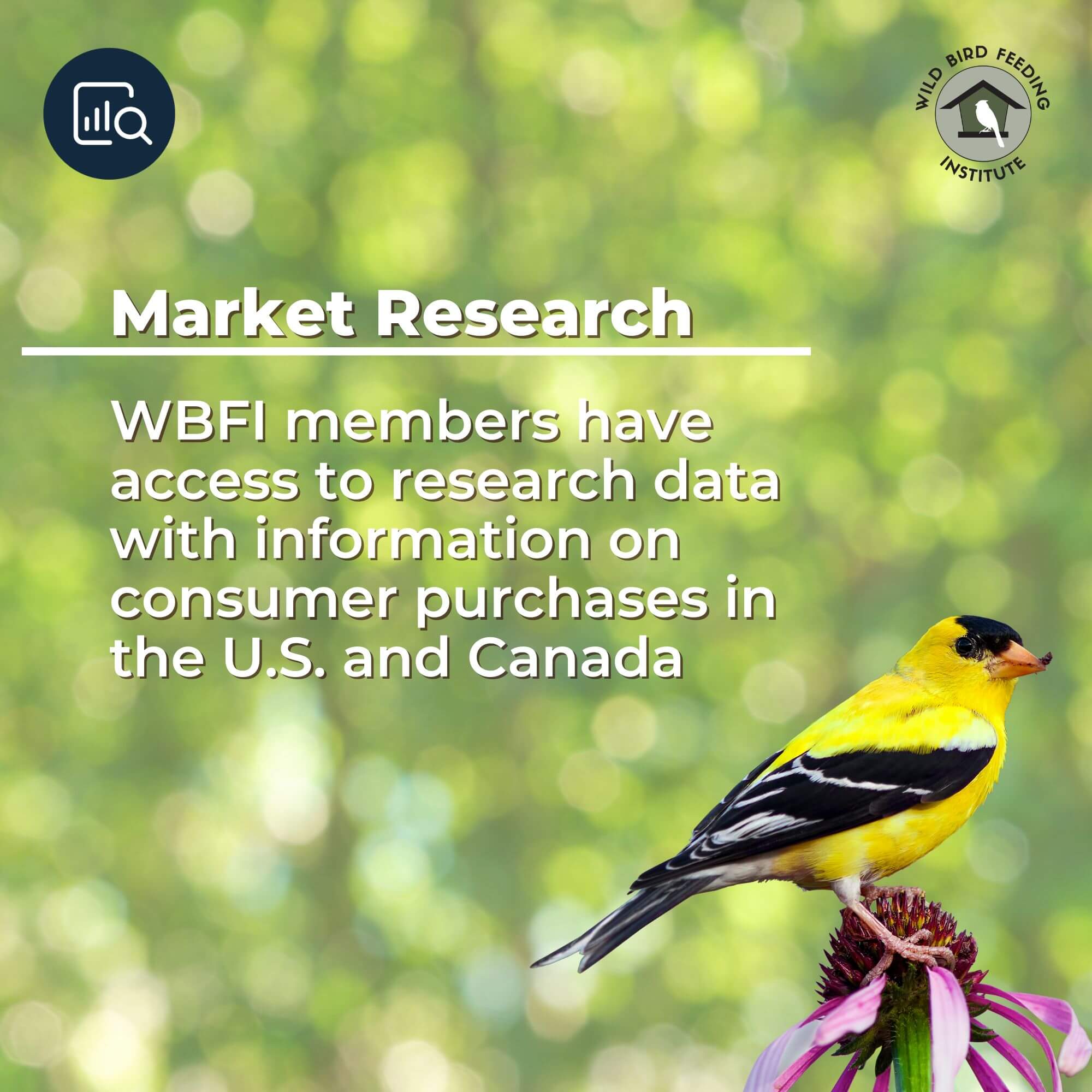 WBFI Ask Your Target Market 2025 Research - Wild Bird Feeding Institute