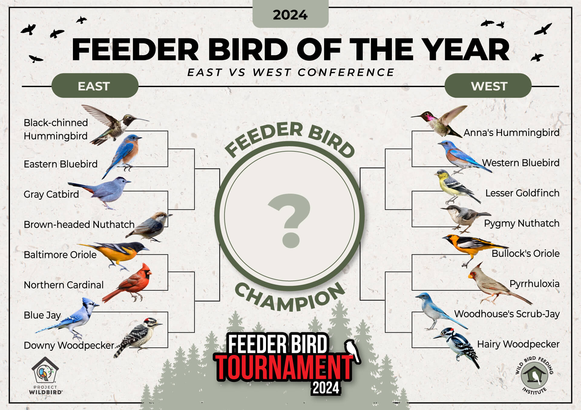 2024 Feeder Bird of the Year Competition - Wild Bird Feeding Institute