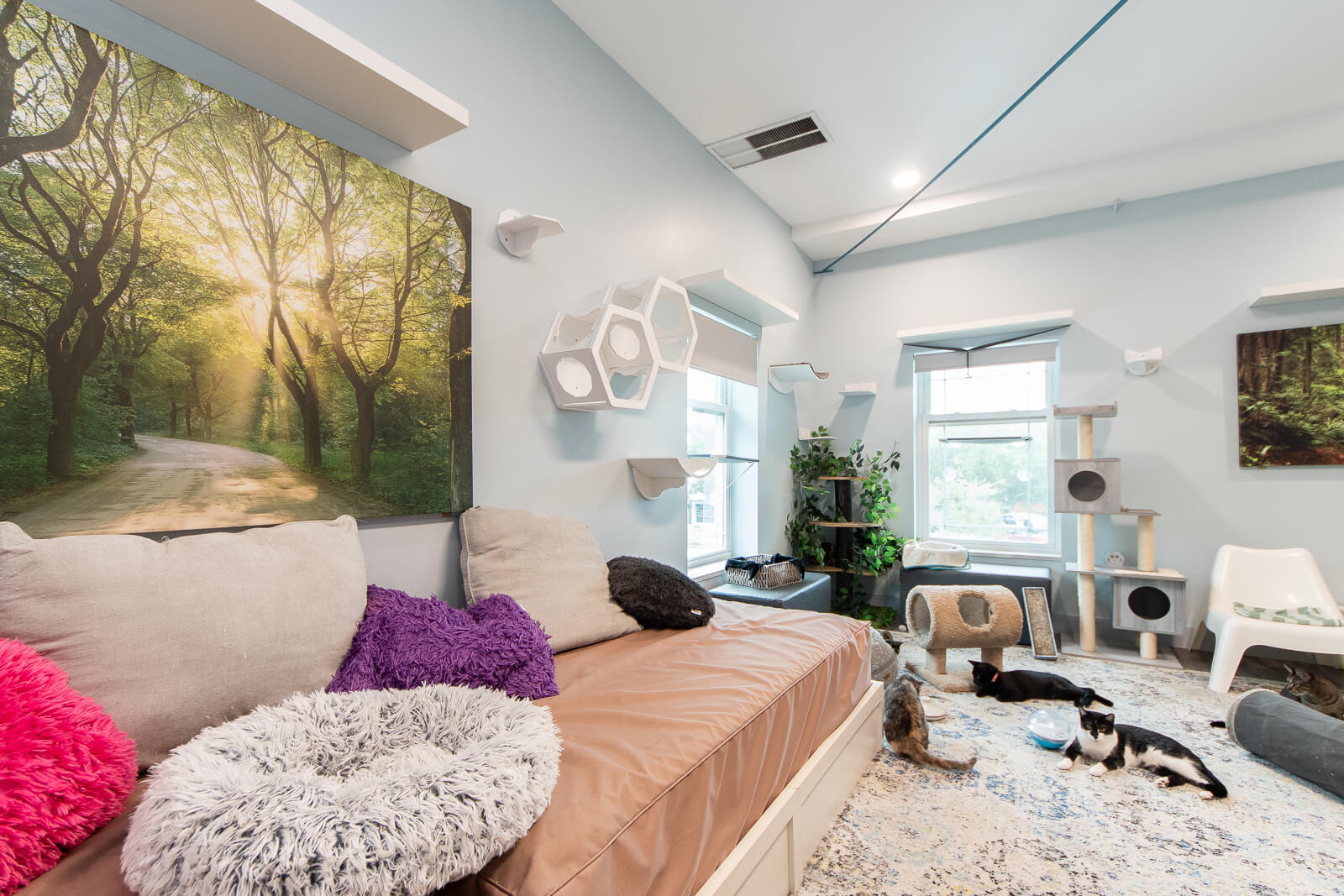 Get to Know Whiskers Workspace - St. Petersburg Chamber of Commerce