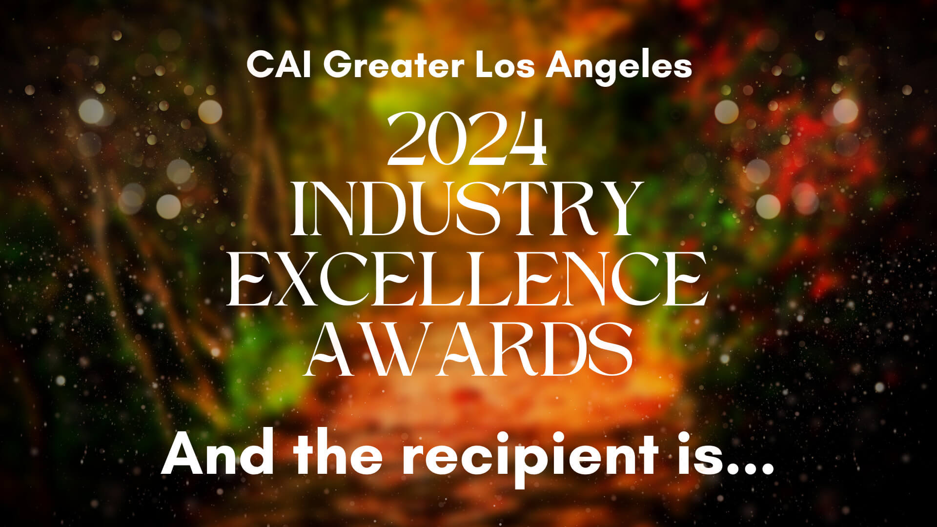 Recipients of the 2024 Industry Excellence Awards - Community ...