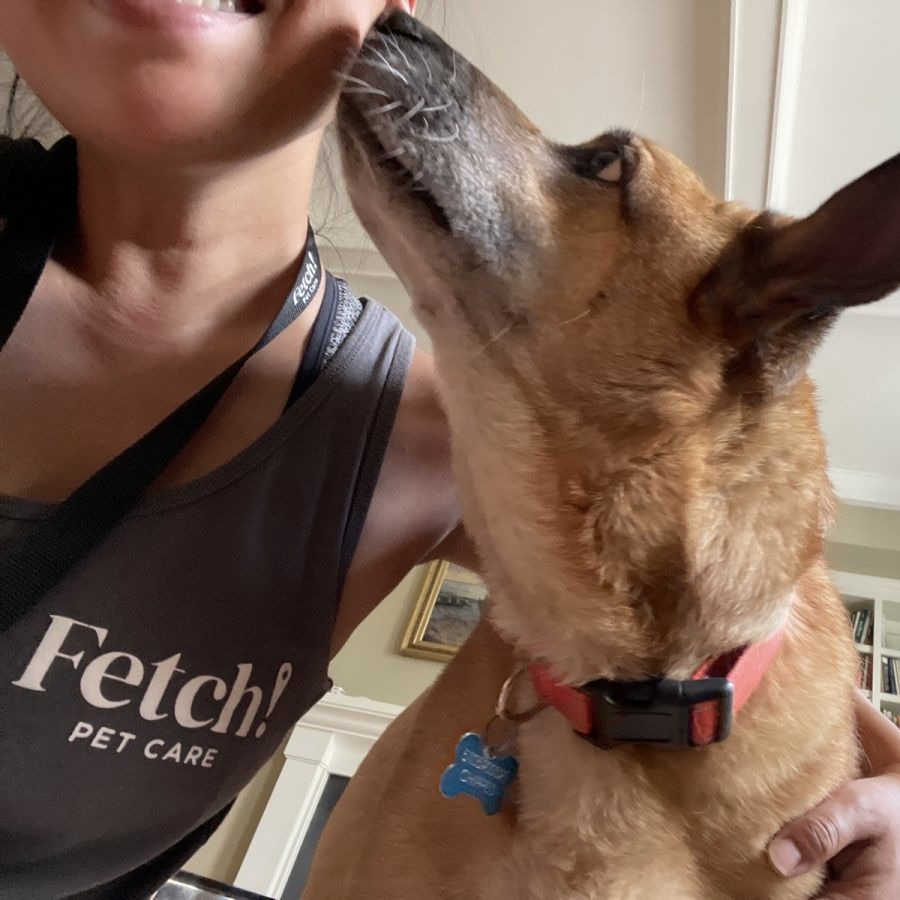Chamber Spotlight: Fetch! Pet Care of Charlottesville - Charlottesville ...