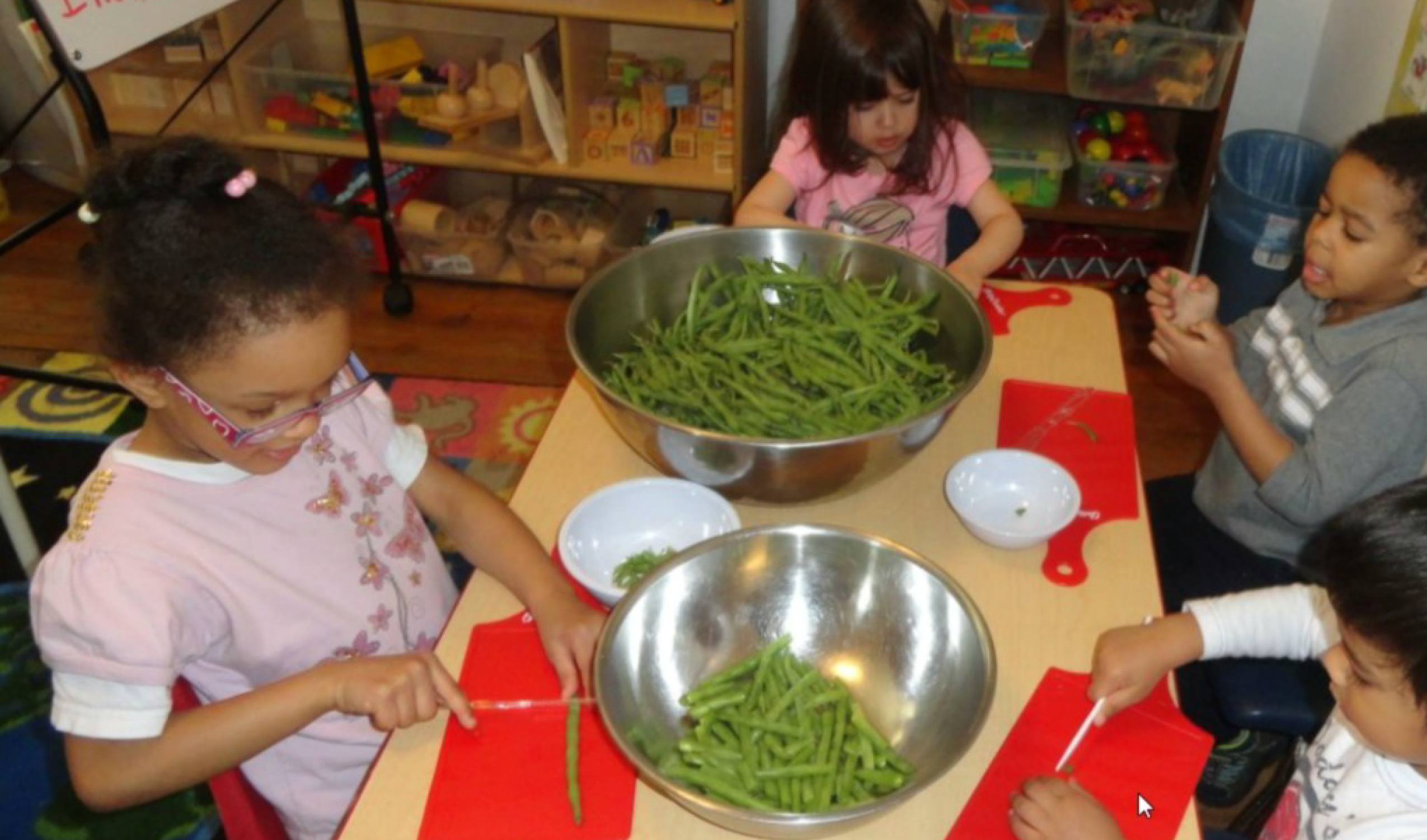 Joy Parks - National CACFP Sponsors Association