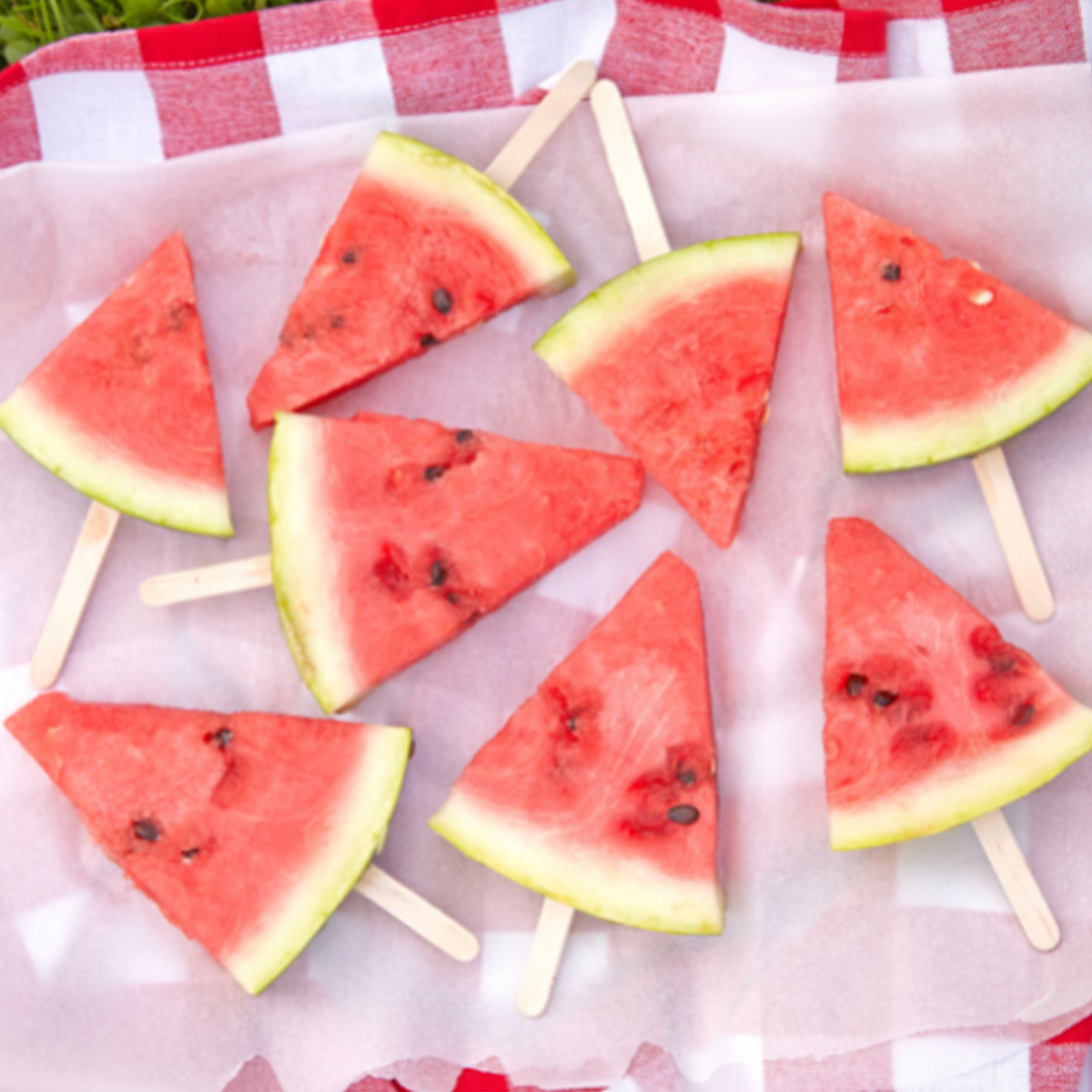 Watermelon Pop - National CACFP Association