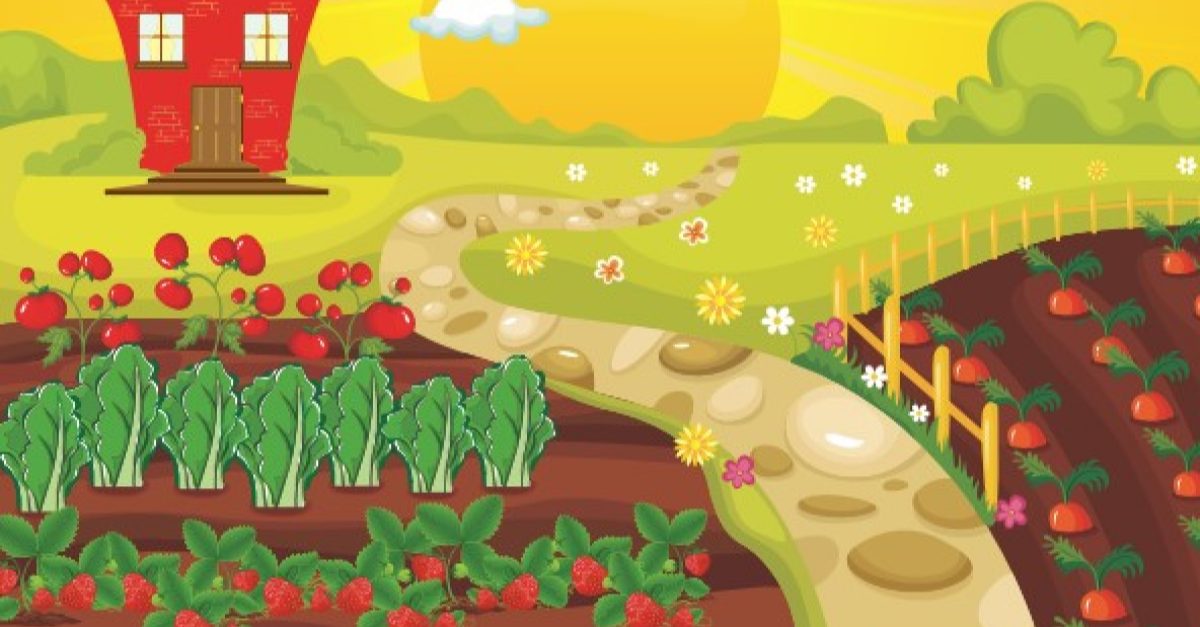 National Berry Month - National CACFP Association