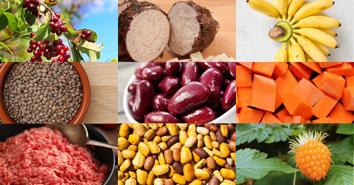 More Native Foods Added to the Food Buying Guide - National CACFP ...