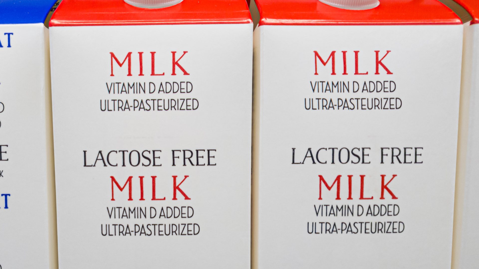 Meal Pattern Minute: Lactose-Free Milk - National CACFP Sponsors ...