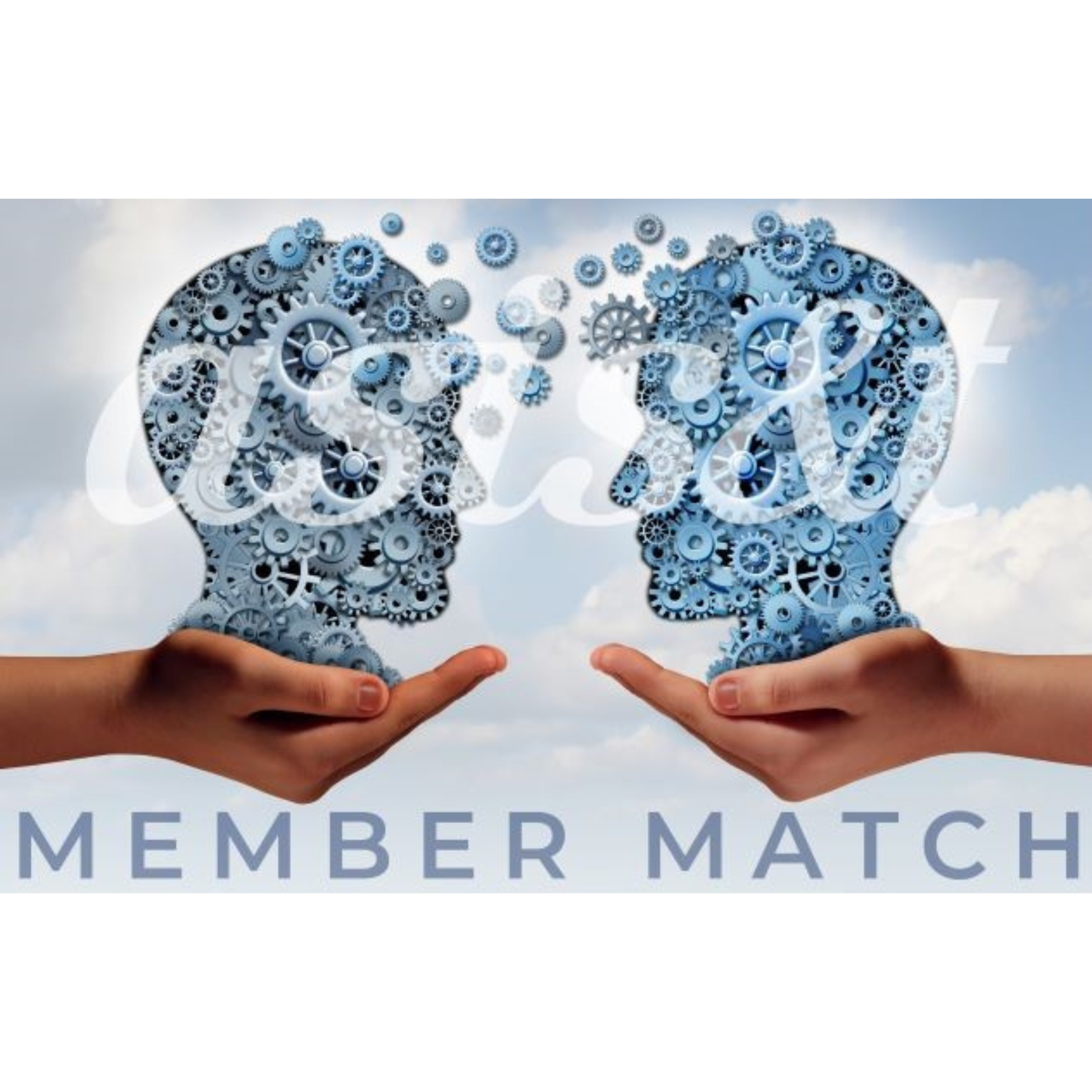 Member Match Mentorship Program Launched - Association for Information ...