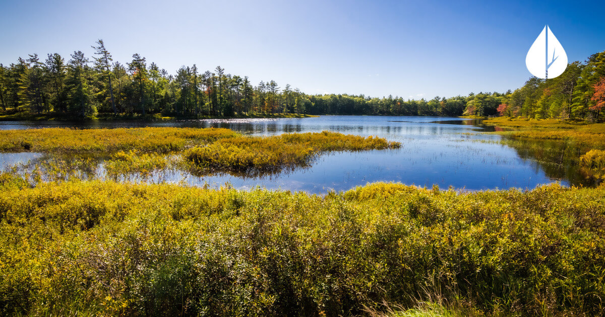 Conservation Districts Continue to Deliver for Michigan Communities ...