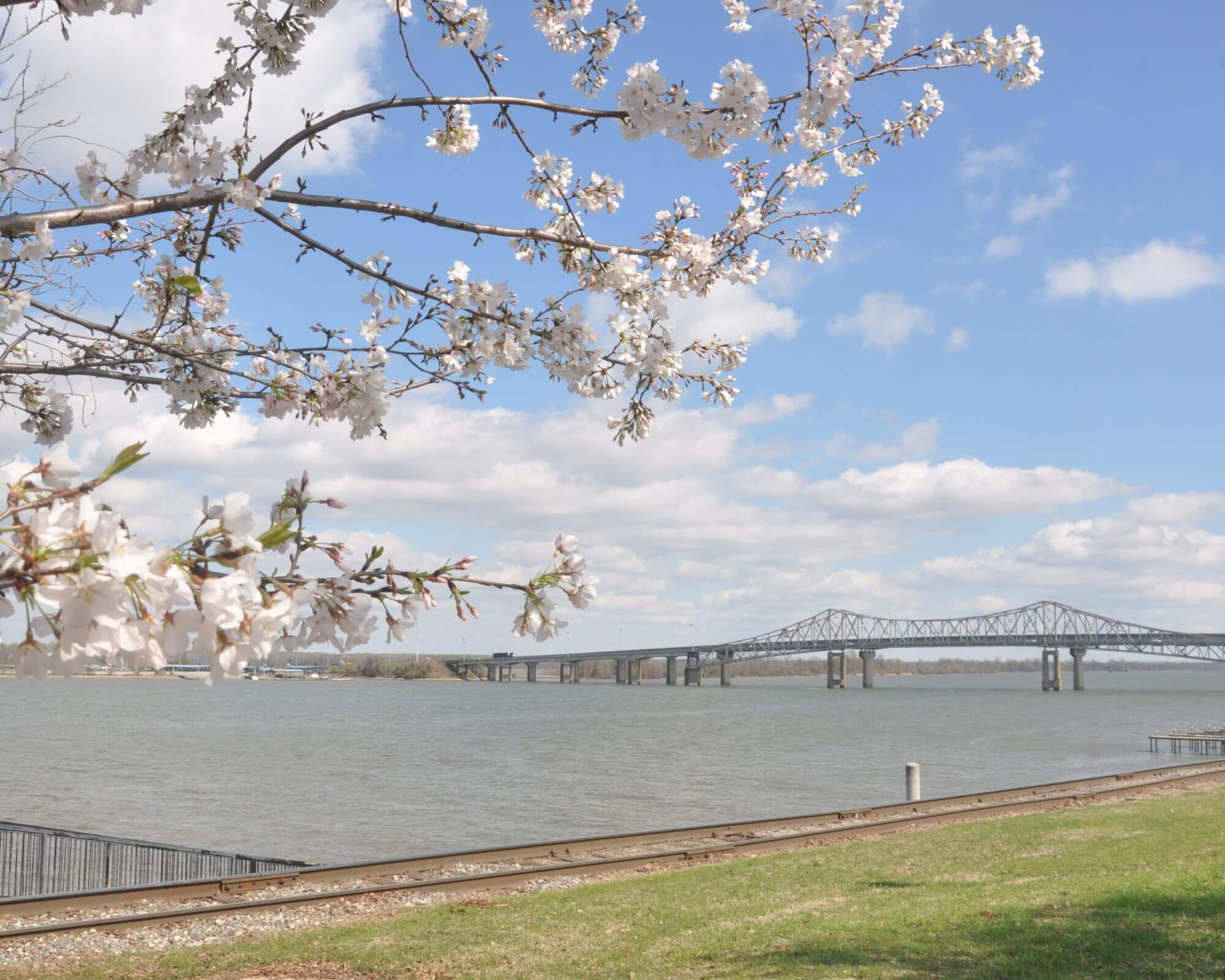 City of Decatur Hosts Second Public Meeting On Bridge Feasibility Study ...